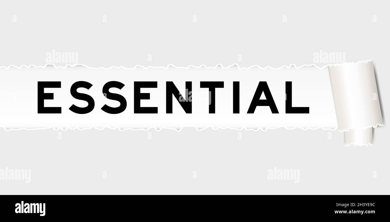 Ripped gray paper background that have word essential under torn part Stock Vector Image & Art ...