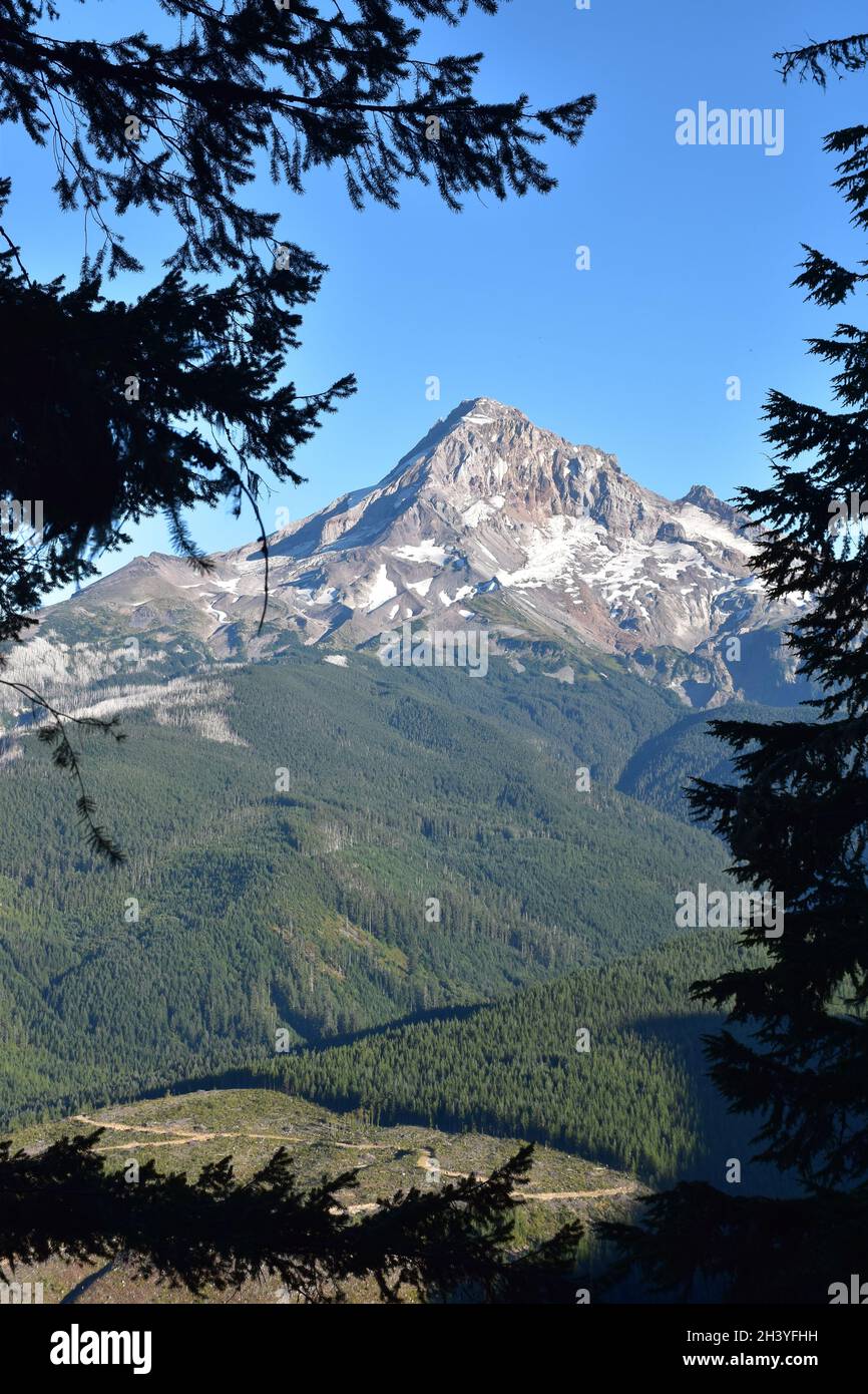 Mt Hood National Forest hike on trail #2000 from Lolo Pass and the ...