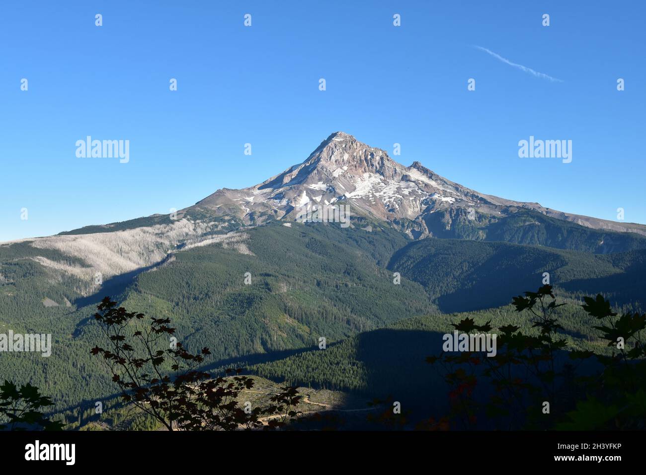 Mt Hood National Forest hike on trail #2000 from Lolo Pass and the ...