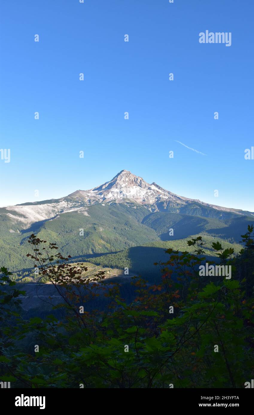 Mt Hood National Forest hike on trail #2000 from Lolo Pass and the ...