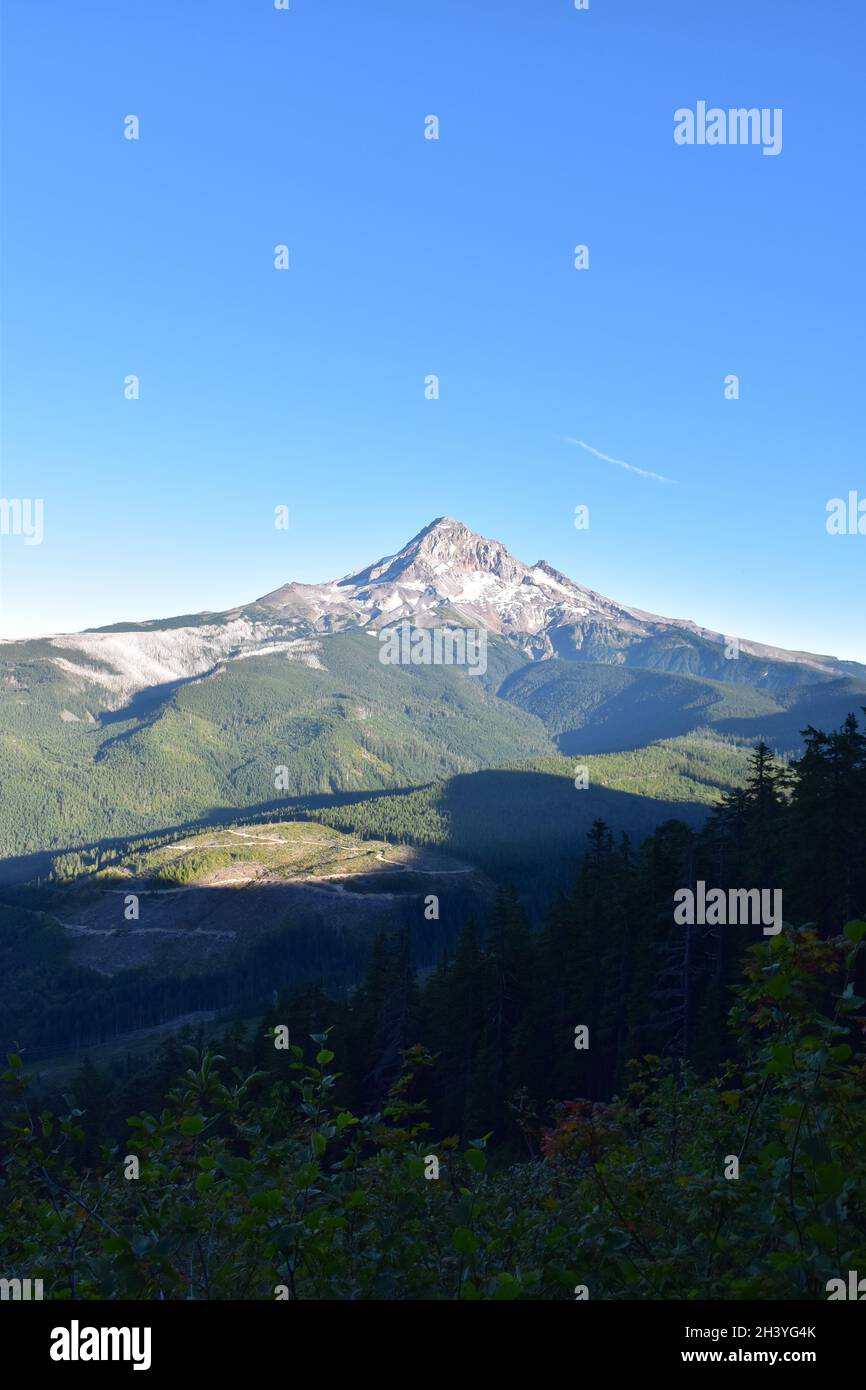 Mt Hood National Forest hike on trail #2000 from Lolo Pass and the ...