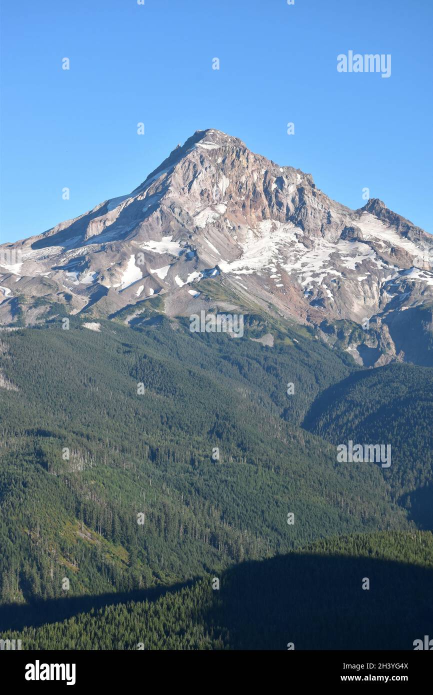 Mt Hood National Forest hike on trail #2000 from Lolo Pass and the ...