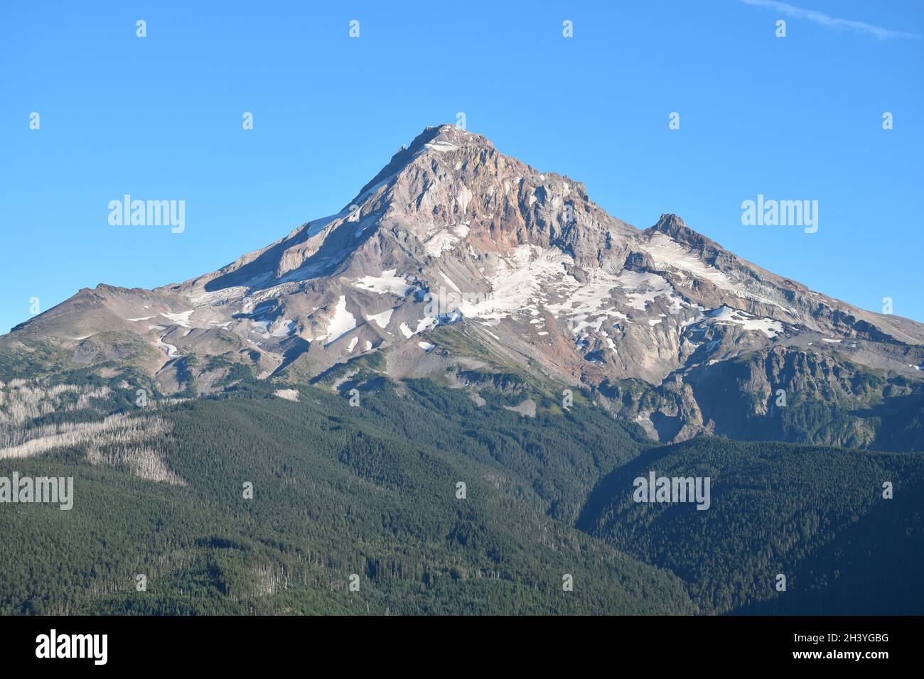 Mt Hood National Forest hike on trail #2000 from Lolo Pass and the ...