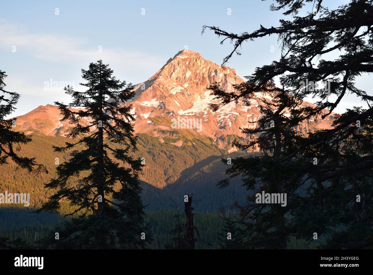 Mt Hood National Forest hike on trail #2000 from Lolo Pass and the ...