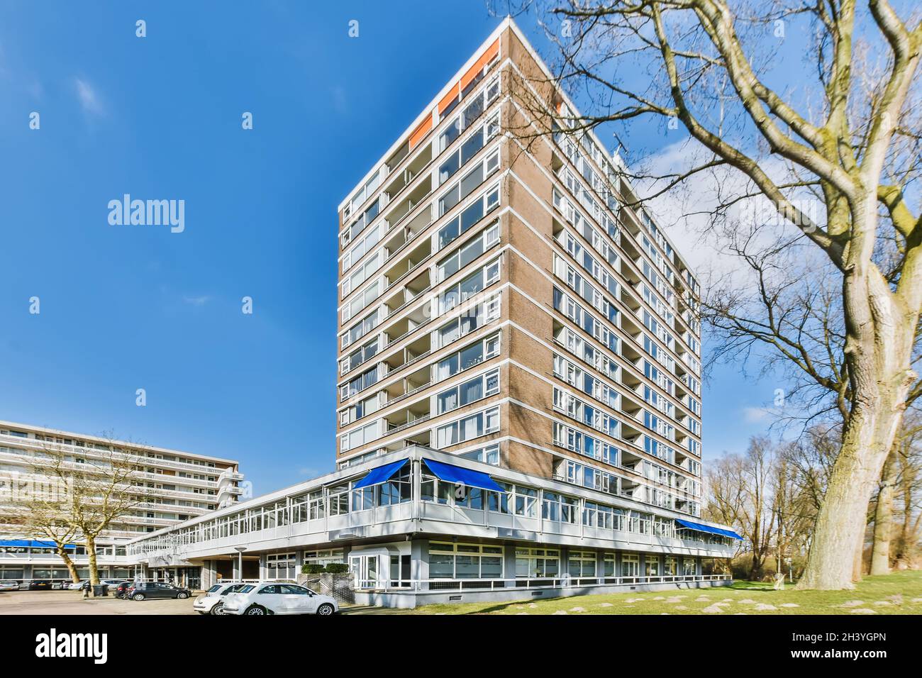 Facade of high-rice building with trees on the street Stock Photo - Alamy