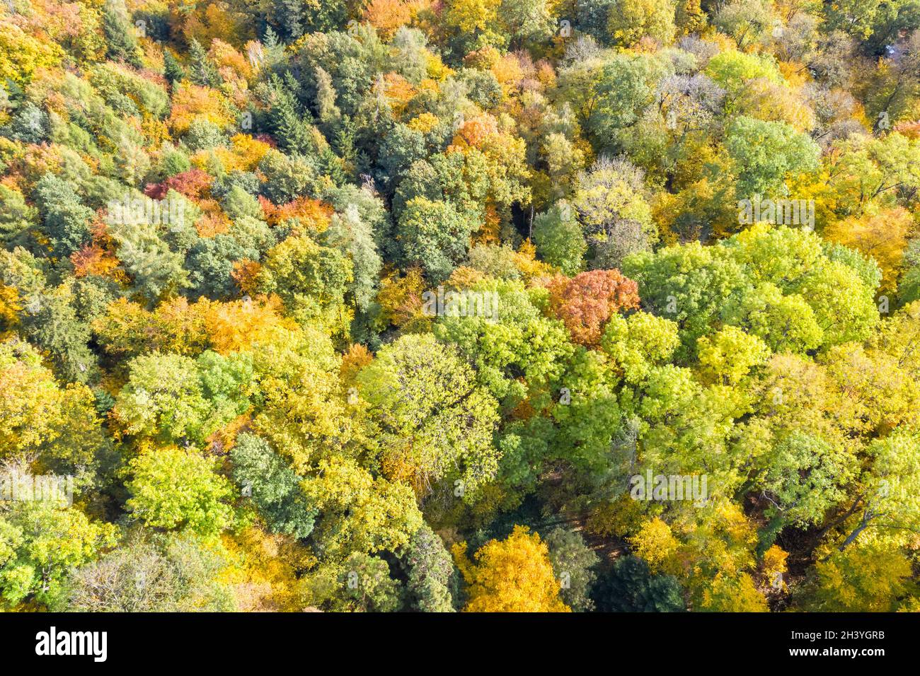 Aerial photo autumn leaves hi-res stock photography and images - Alamy