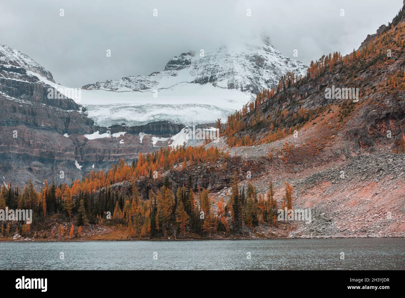 Autumn in Canada Stock Photo - Alamy