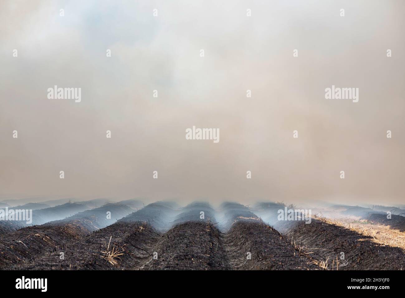 Wildfire damage to grassland hi-res stock photography and images - Alamy