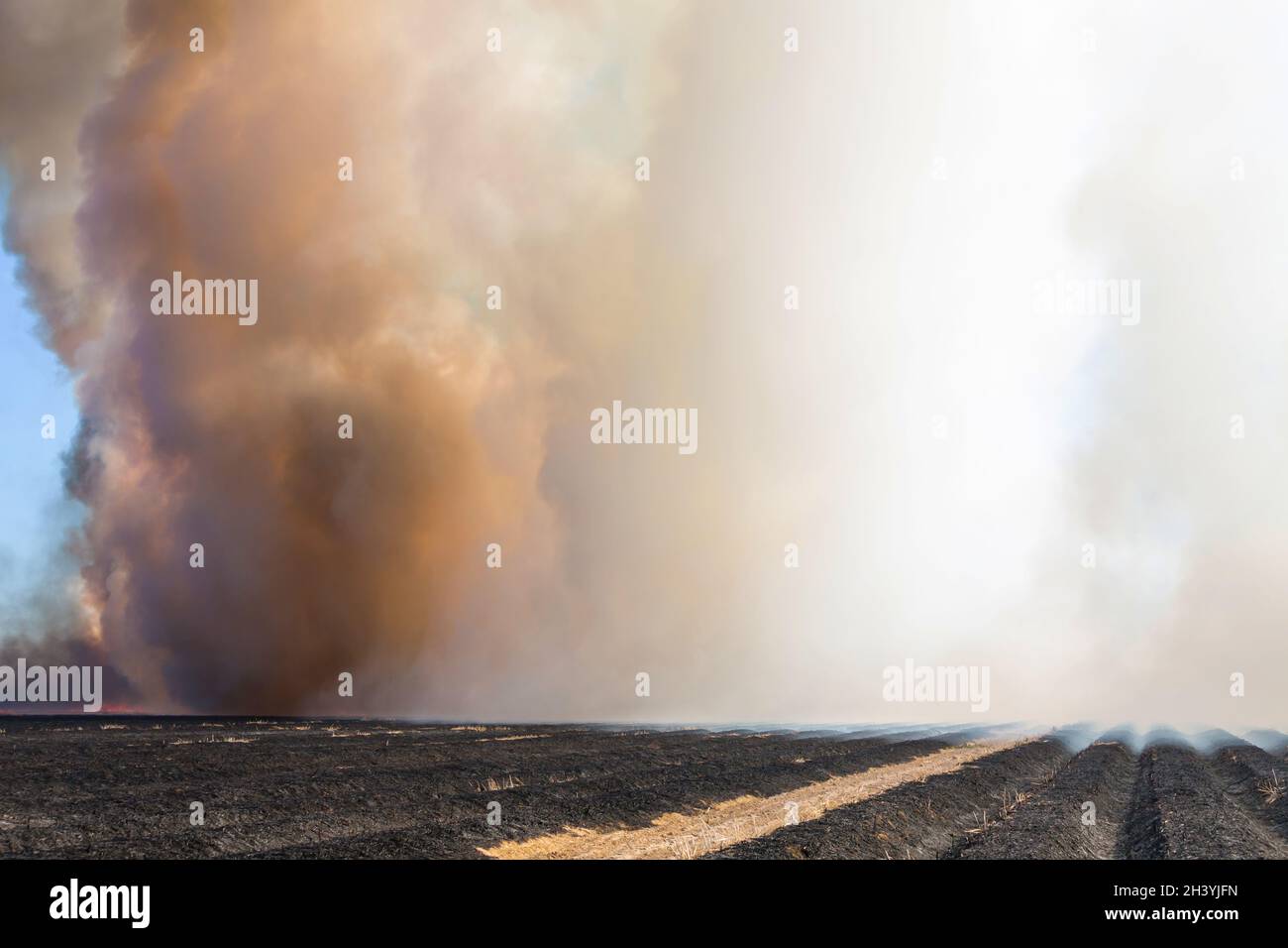 Wildfire damage to grassland hi-res stock photography and images - Alamy