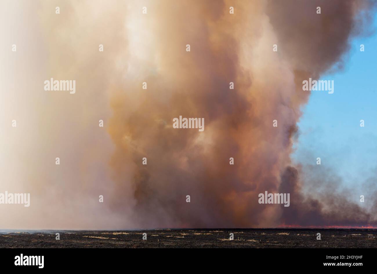 Wildfire damage to grassland hi-res stock photography and images - Alamy