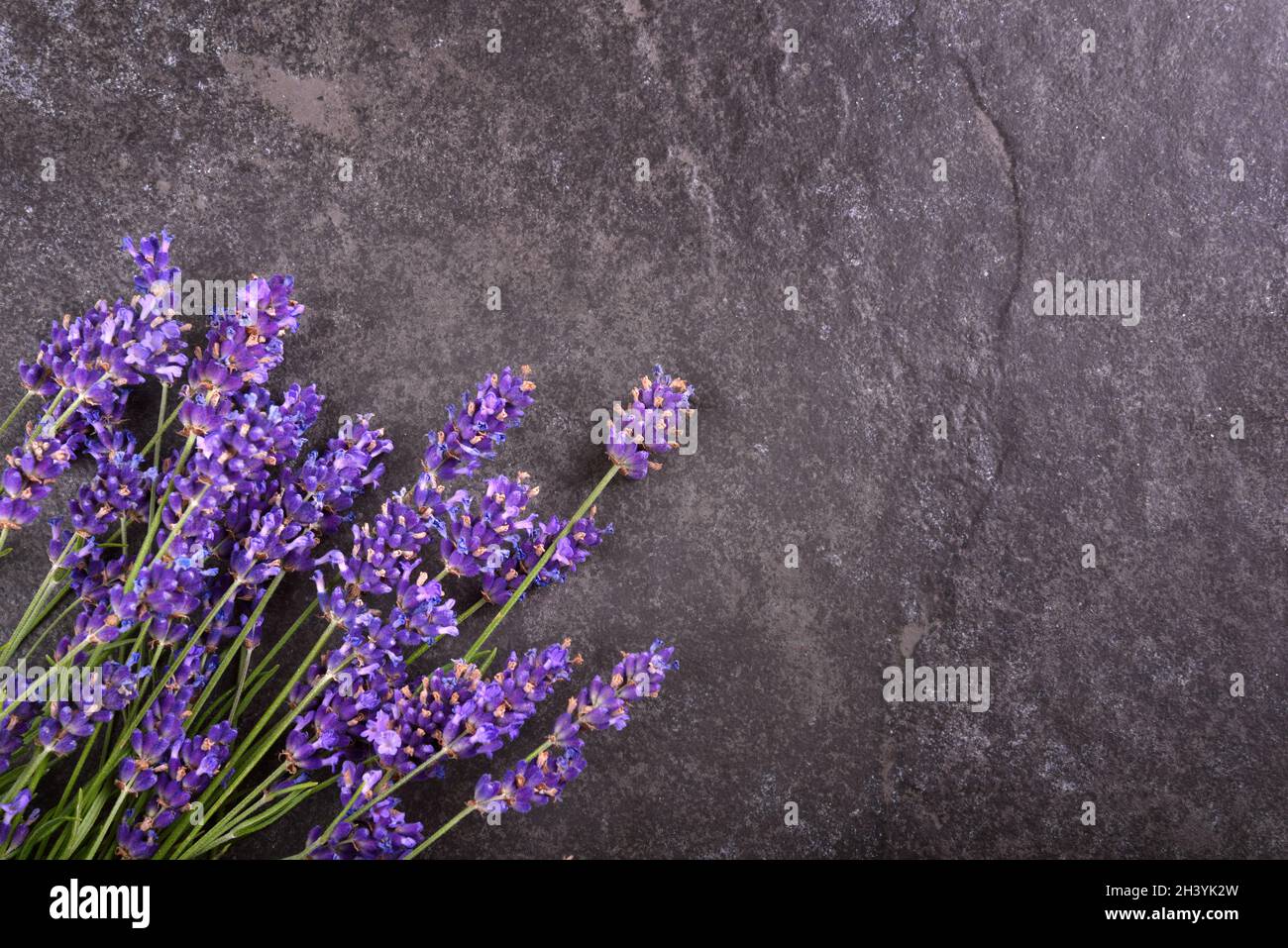 Lavender bouquet hi-res stock photography and images - Alamy