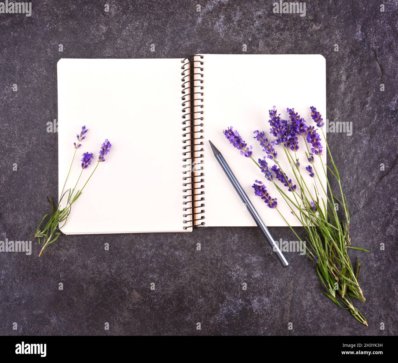 Notepad open blank page hi-res stock photography and images - Alamy
