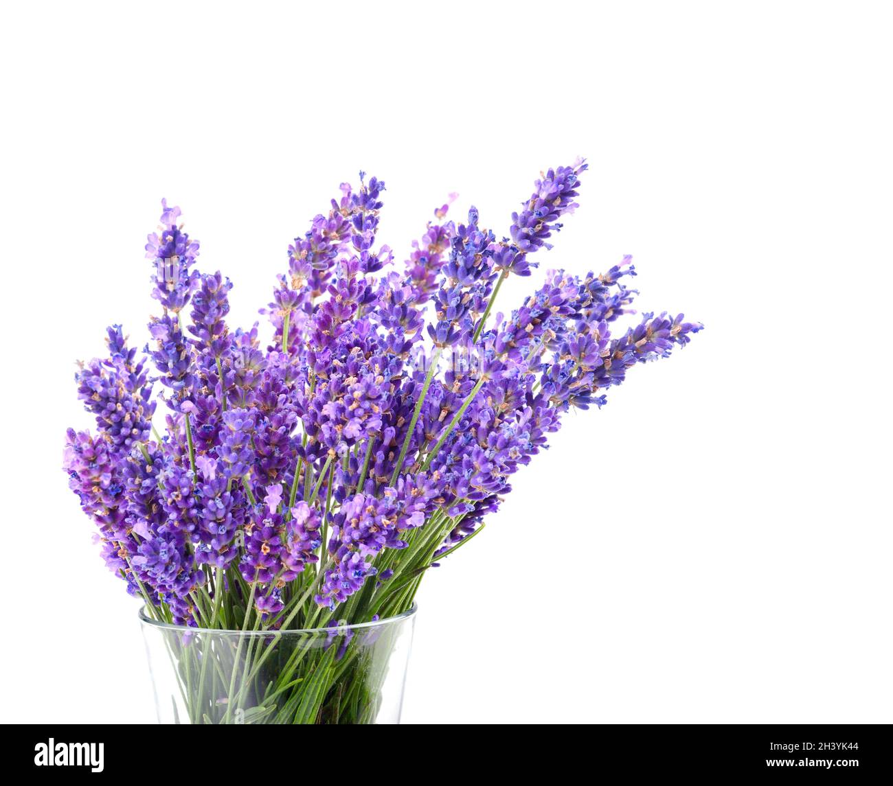 Beautiful violet hi-res stock photography and images - Alamy