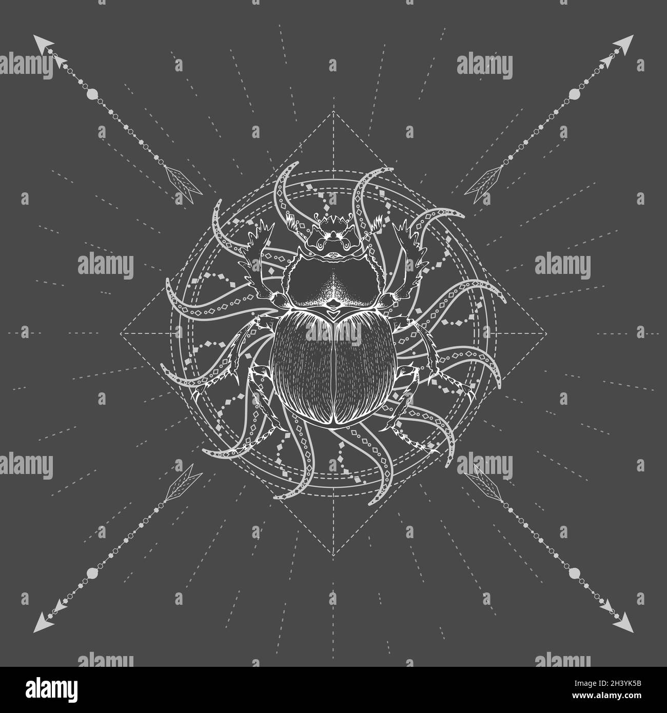 Half insect Black and White Stock Photos & Images - Alamy