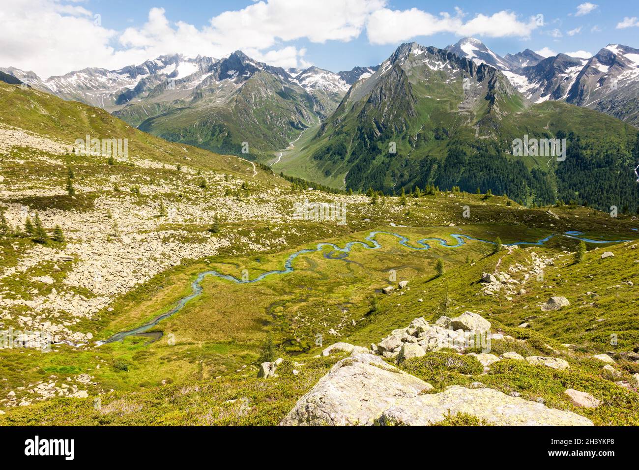 Wieser werfer moos hi-res stock photography and images - Alamy