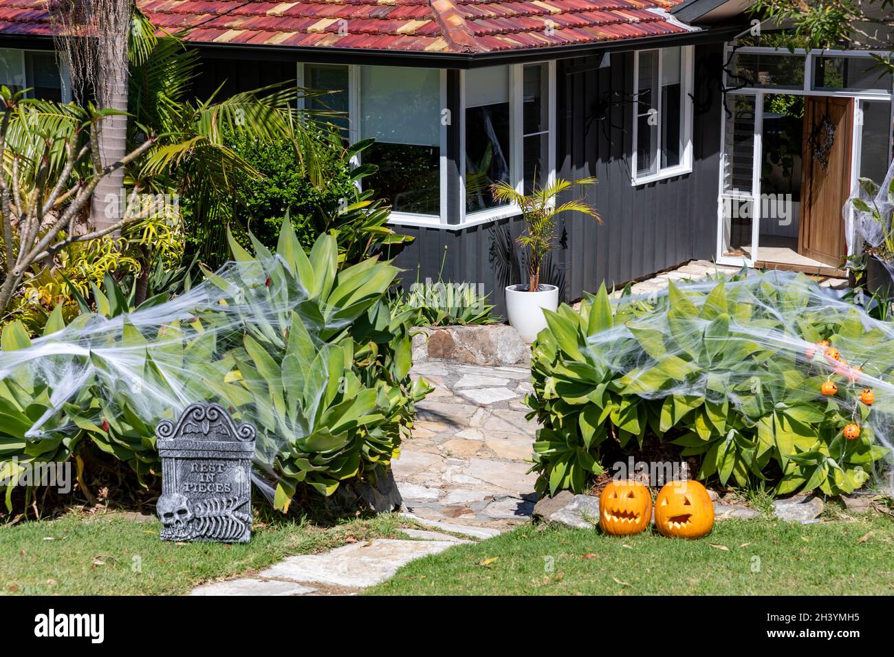 Halloween in Australia spiders web and pumpkins decorate a garden in ...