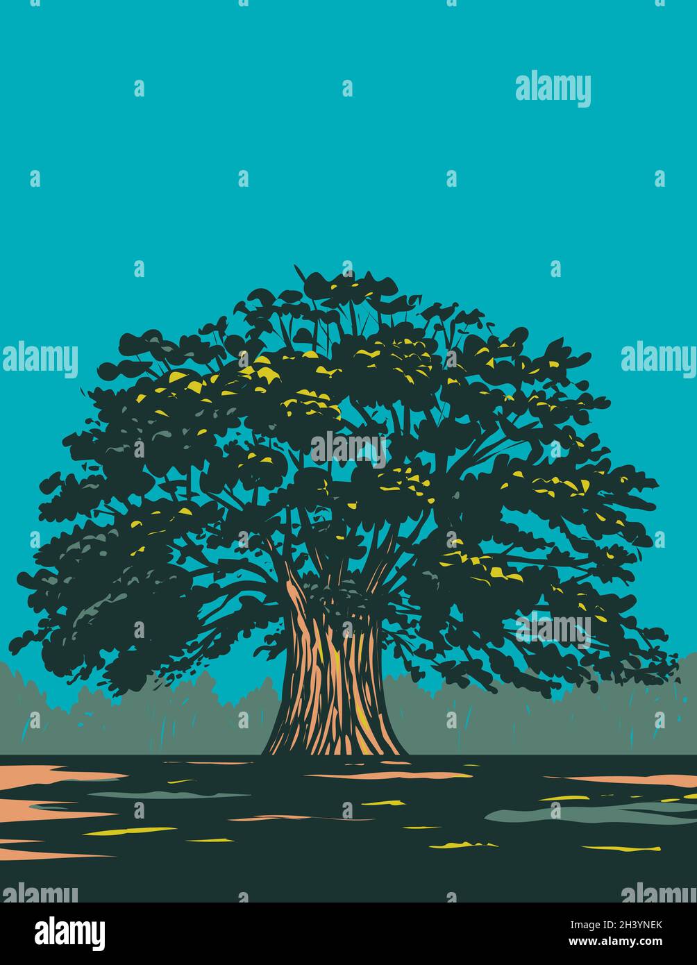 Centuries Old Balete Tree Balite or Baliti from the Genus Ficus in ...