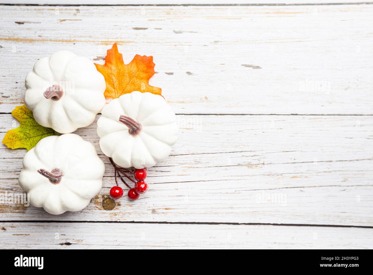 Autumn side border of white pumpkins and autumn leaves over a rustic ...