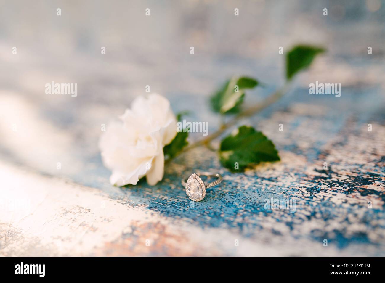 Bride's engagement ring with a drop-shaped gemstone with a white rose ...