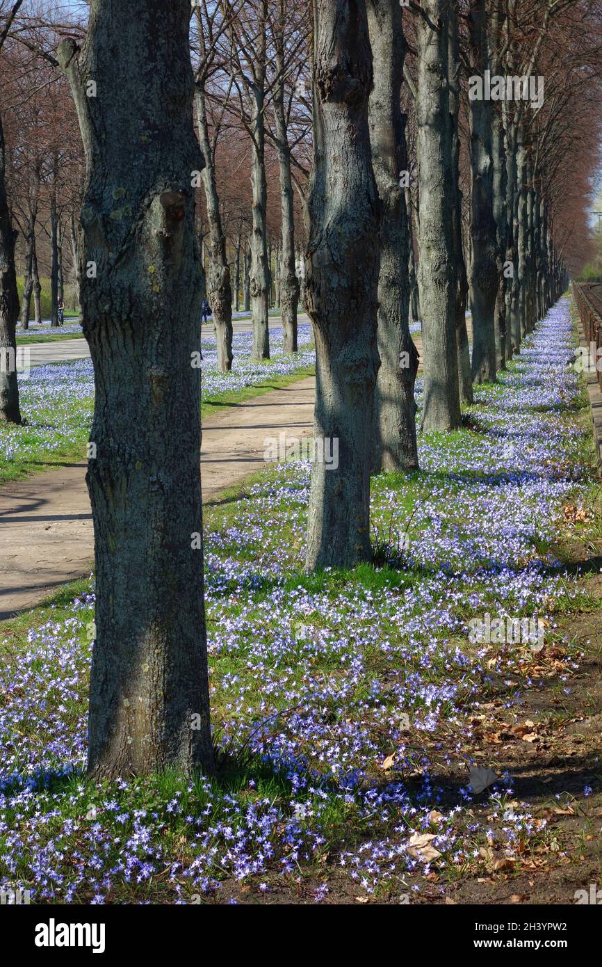 Common sight in gardens hi-res stock photography and images - Alamy