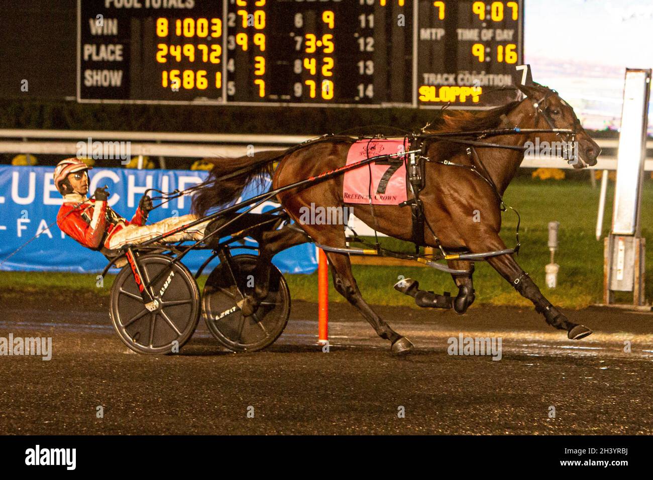 Meadowlands racetrack hi-res stock photography and images - Alamy