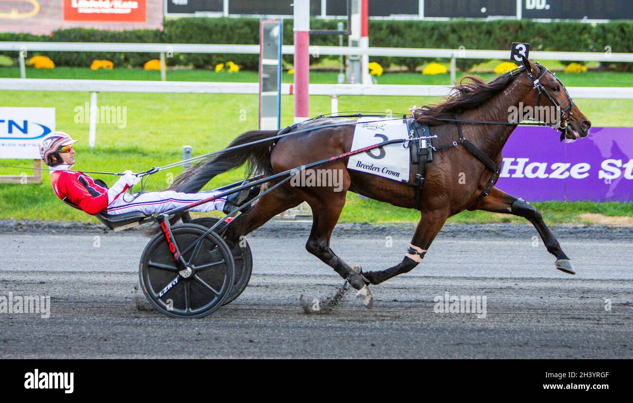 October 29, 2021, East Rutherford, NJ, USA: OCT 30, 2021: Bella Bellini ...