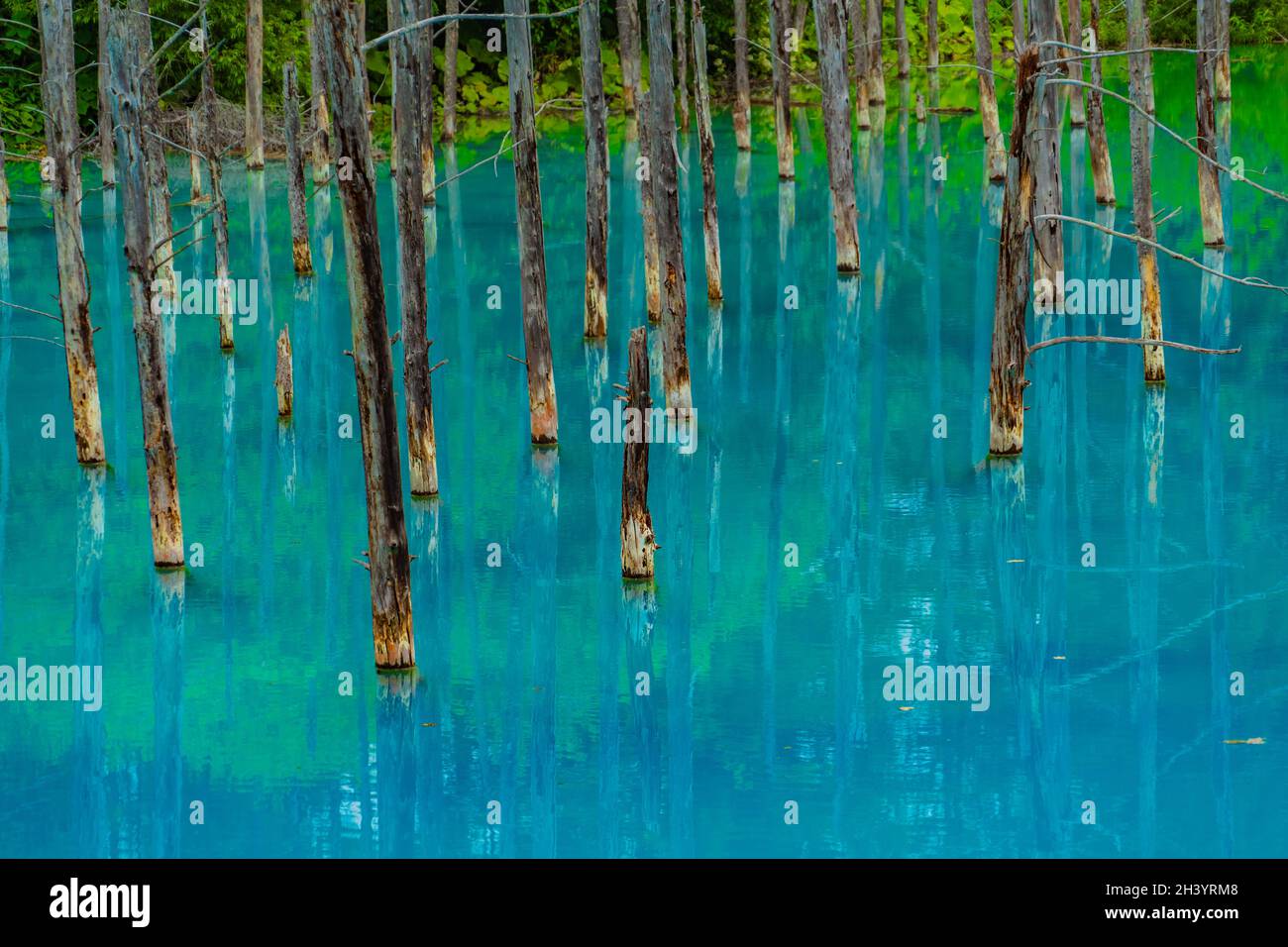 Platinum blue pond (Hokkaido Biei-cho Stock Photo - Alamy