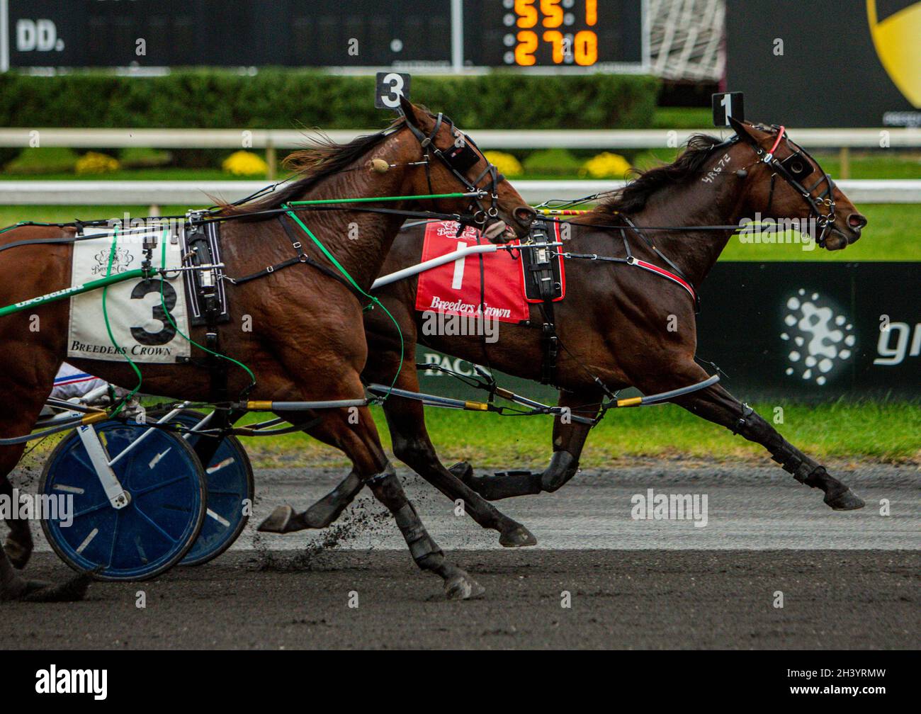 October 29, 2021, East Rutherford, NJ, USA: OCT 30, 2021: Cuatro De ...