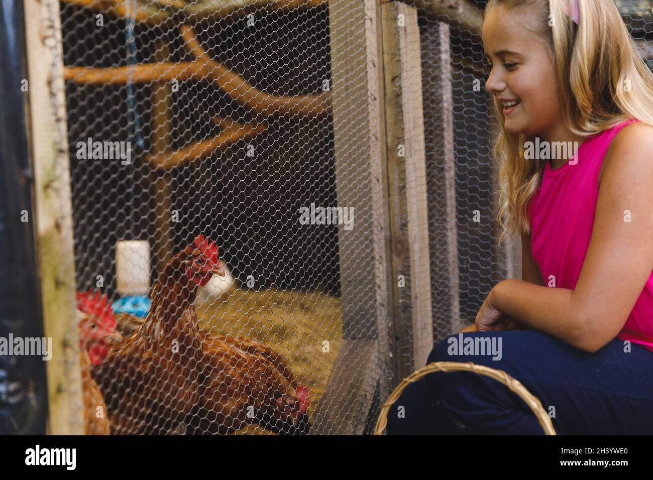 Girl collecting eggs hi-res stock photography and images - Alamy