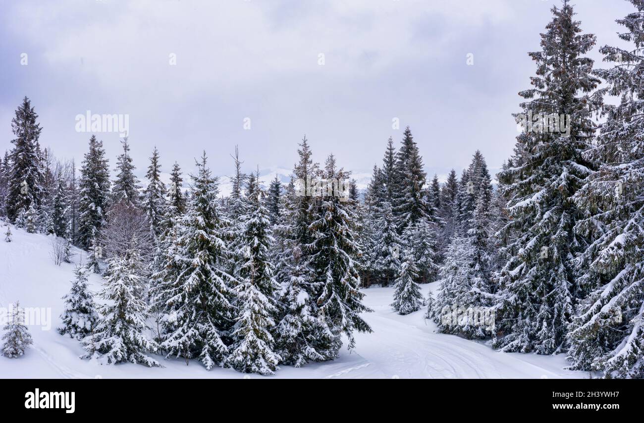 360 panorama sport hi-res stock photography and images - Alamy