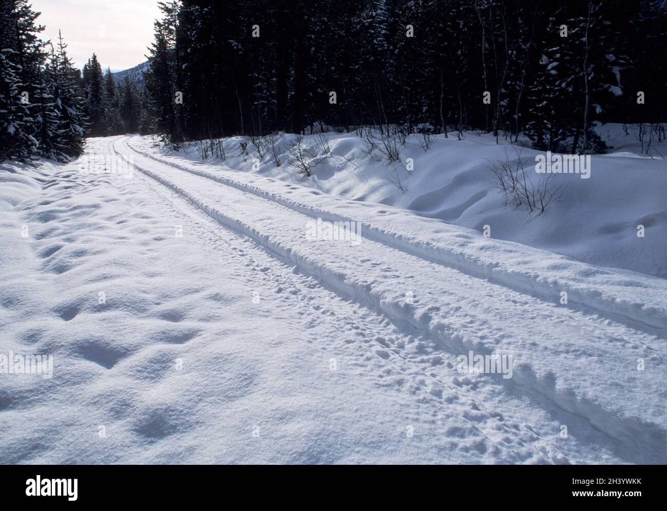 Snow-covered road in Utah Stock Photo - Alamy
