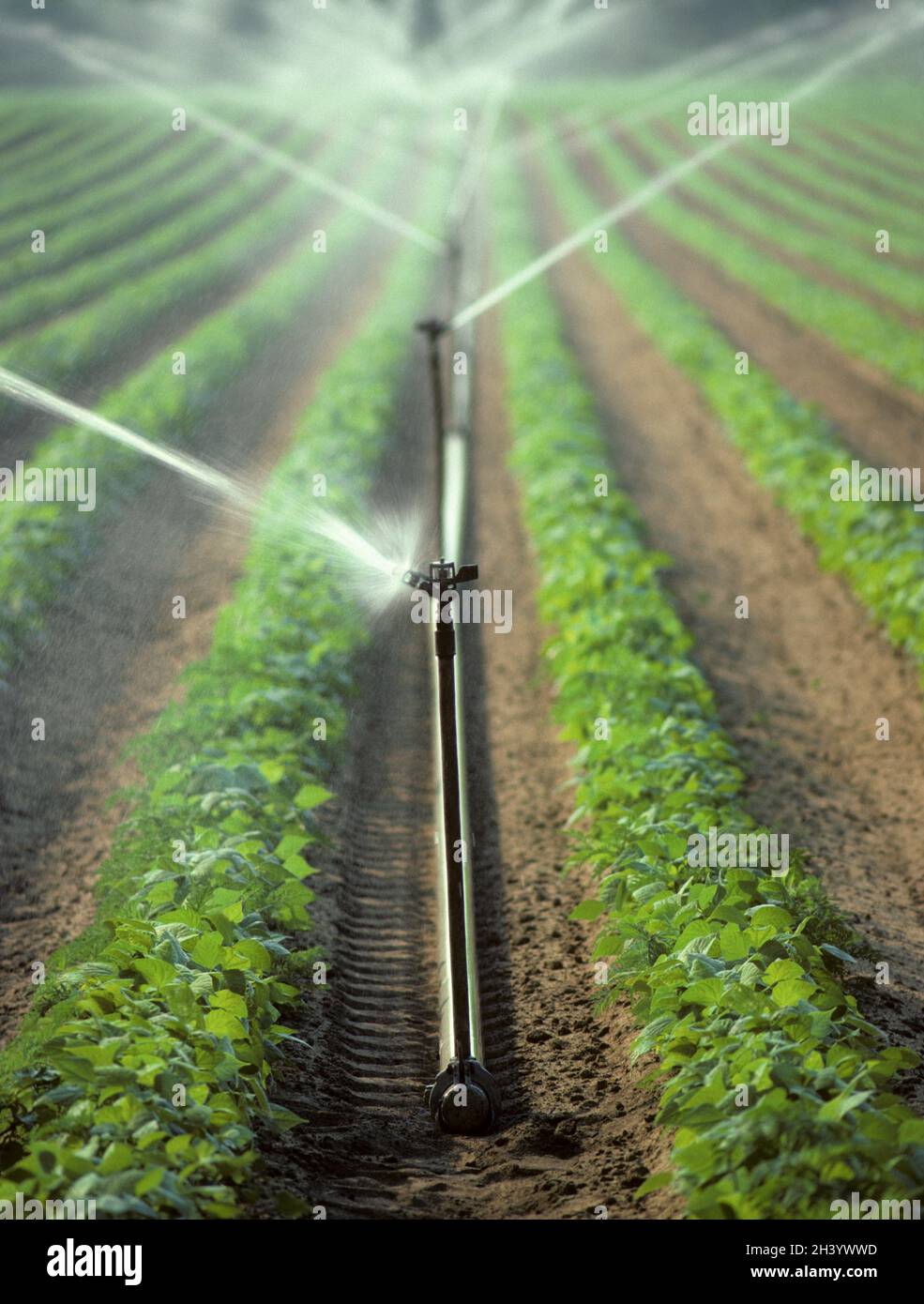 Agriculture irrigation system Stock Photo - Alamy