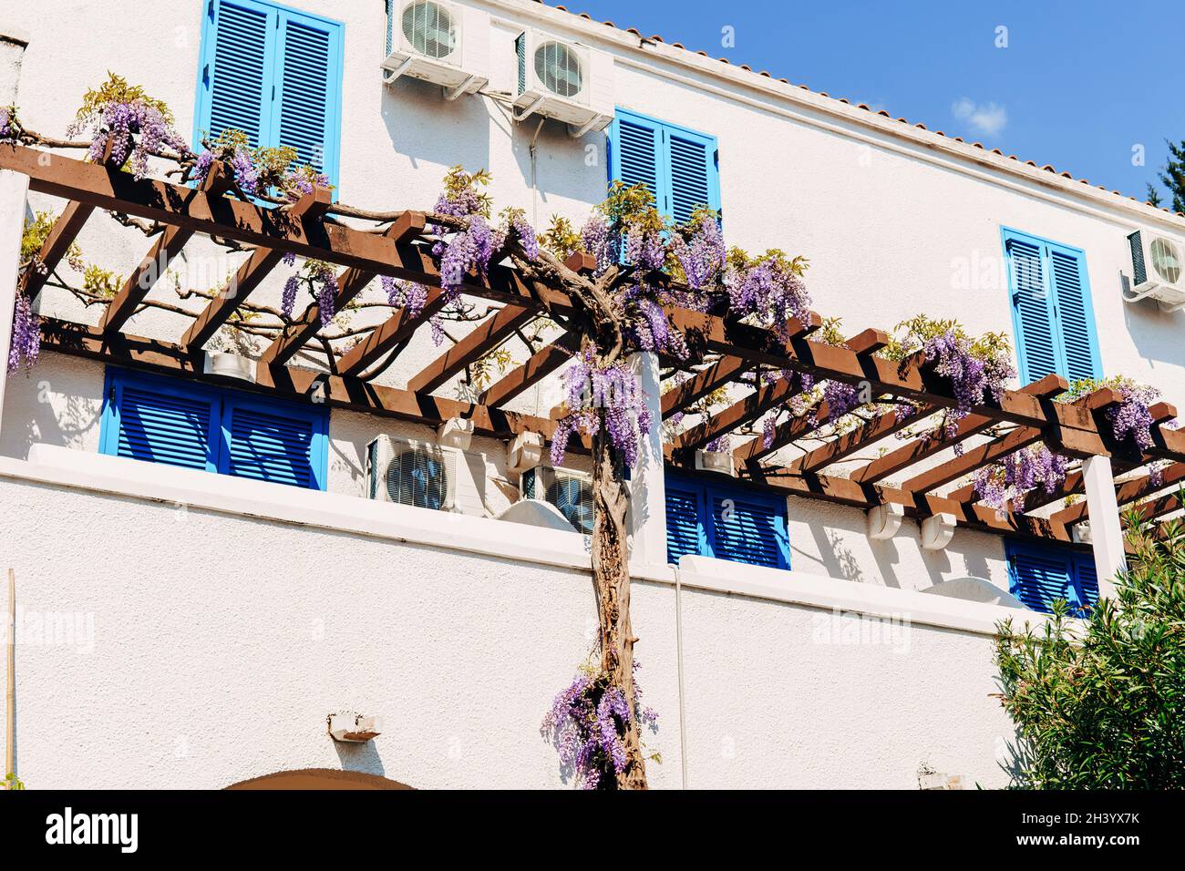 An arch-shaped wooden crossbar with winding wisteria near a house with ...