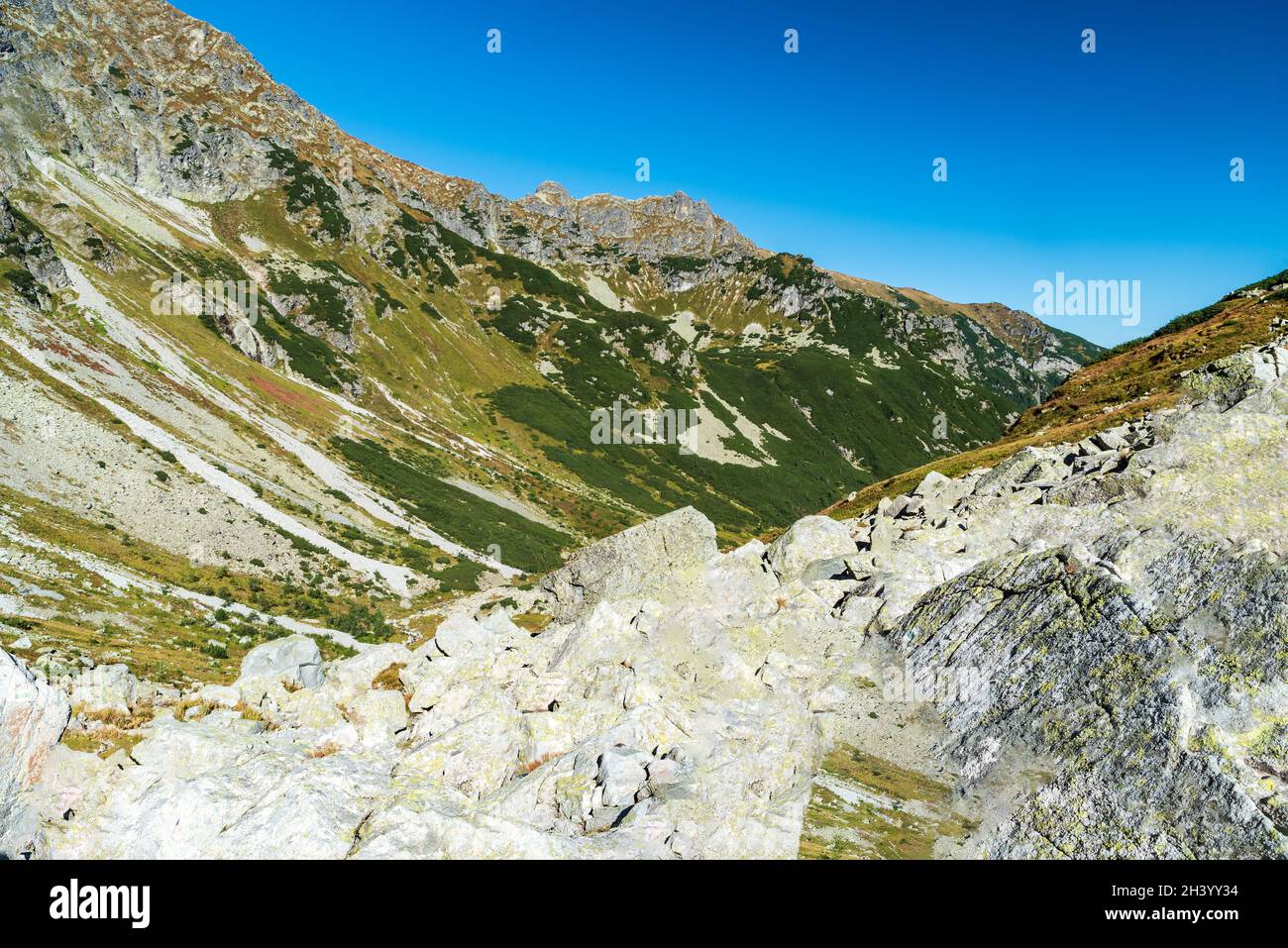 Javorinska siroka hi-res stock photography and images - Alamy