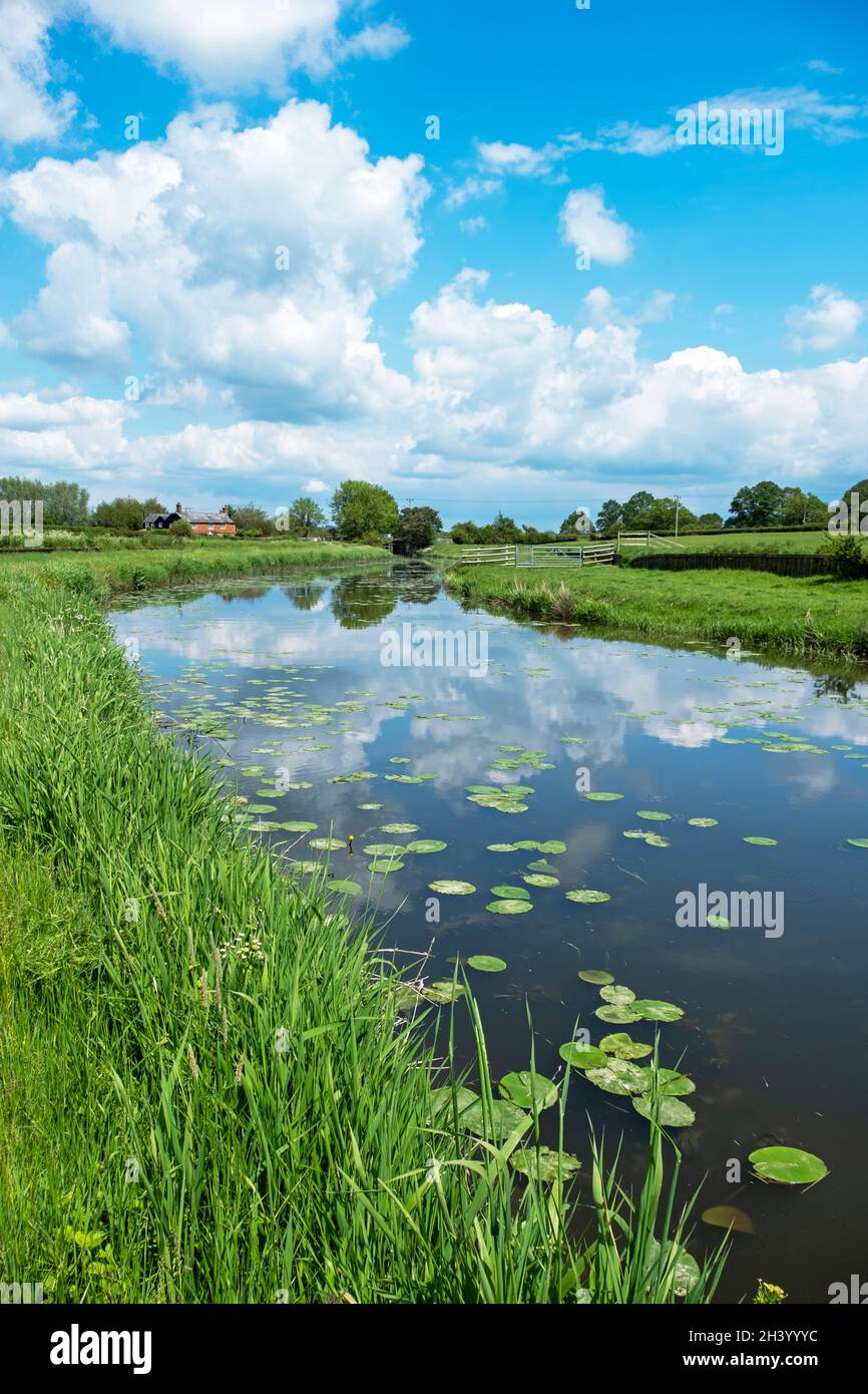 Spring june britain uk hi-res stock photography and images - Alamy