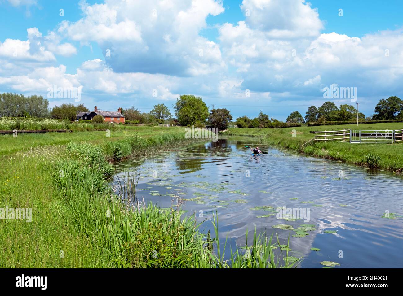 Spring june britain uk hi-res stock photography and images - Alamy