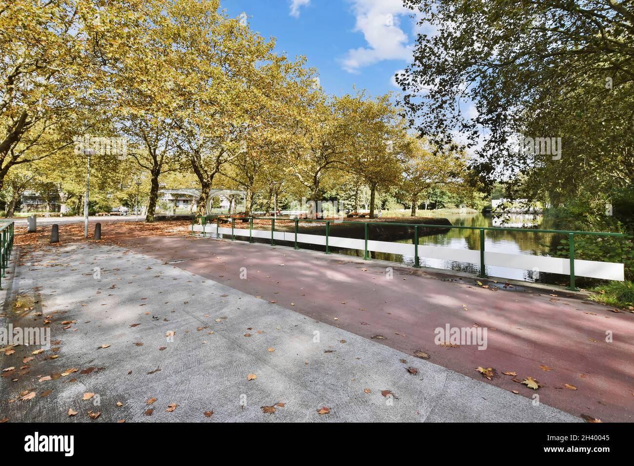 Beautiful park with a lake and many trees Stock Photo - Alamy