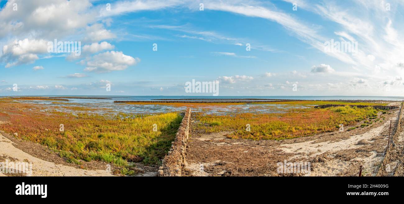 Wadden sea national park hi-res stock photography and images - Alamy