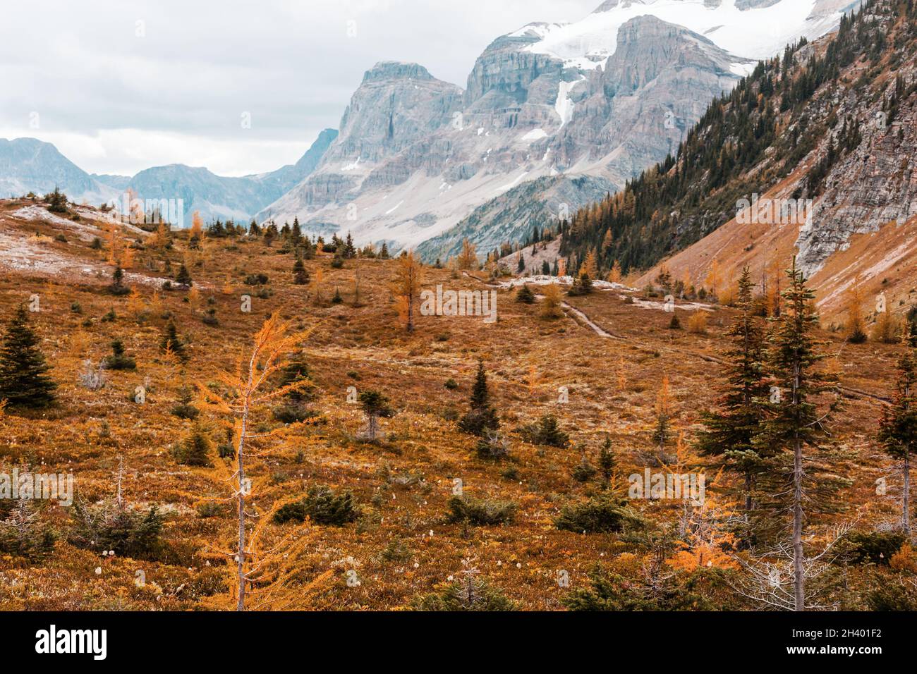 Autumn in Canada Stock Photo - Alamy