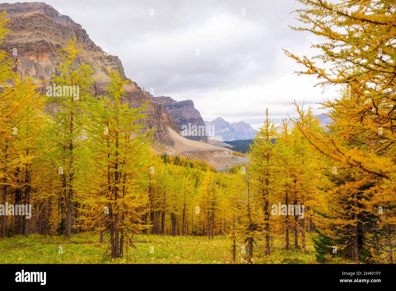 Autumn in Canada Stock Photo - Alamy
