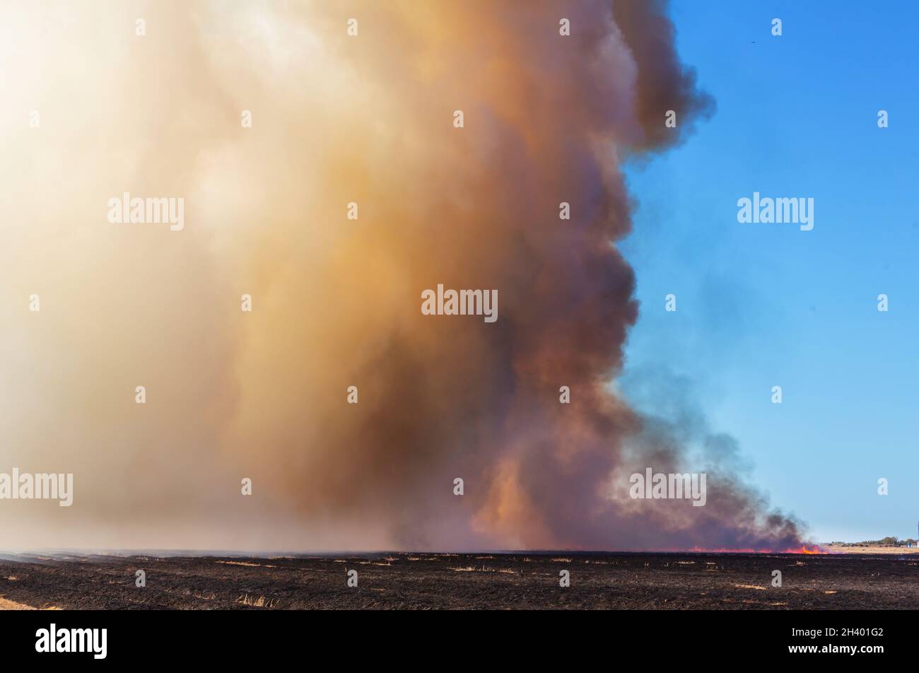 Wildfire damage to grassland hi-res stock photography and images - Alamy