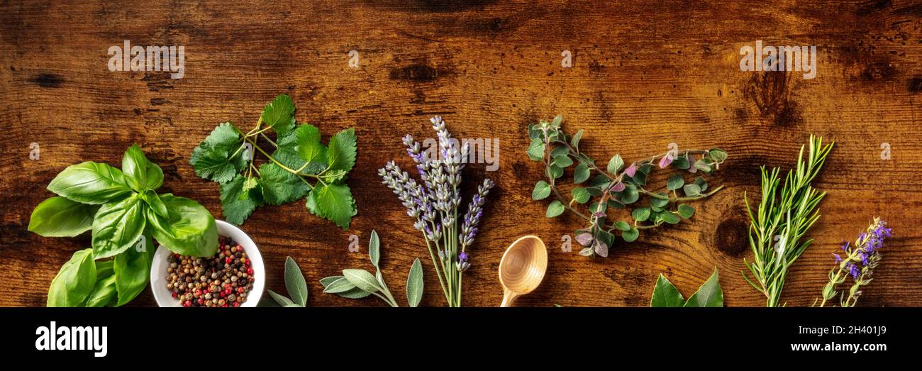 Fresh aromatic herbs panoramic banner with copy space Stock Photo - Alamy