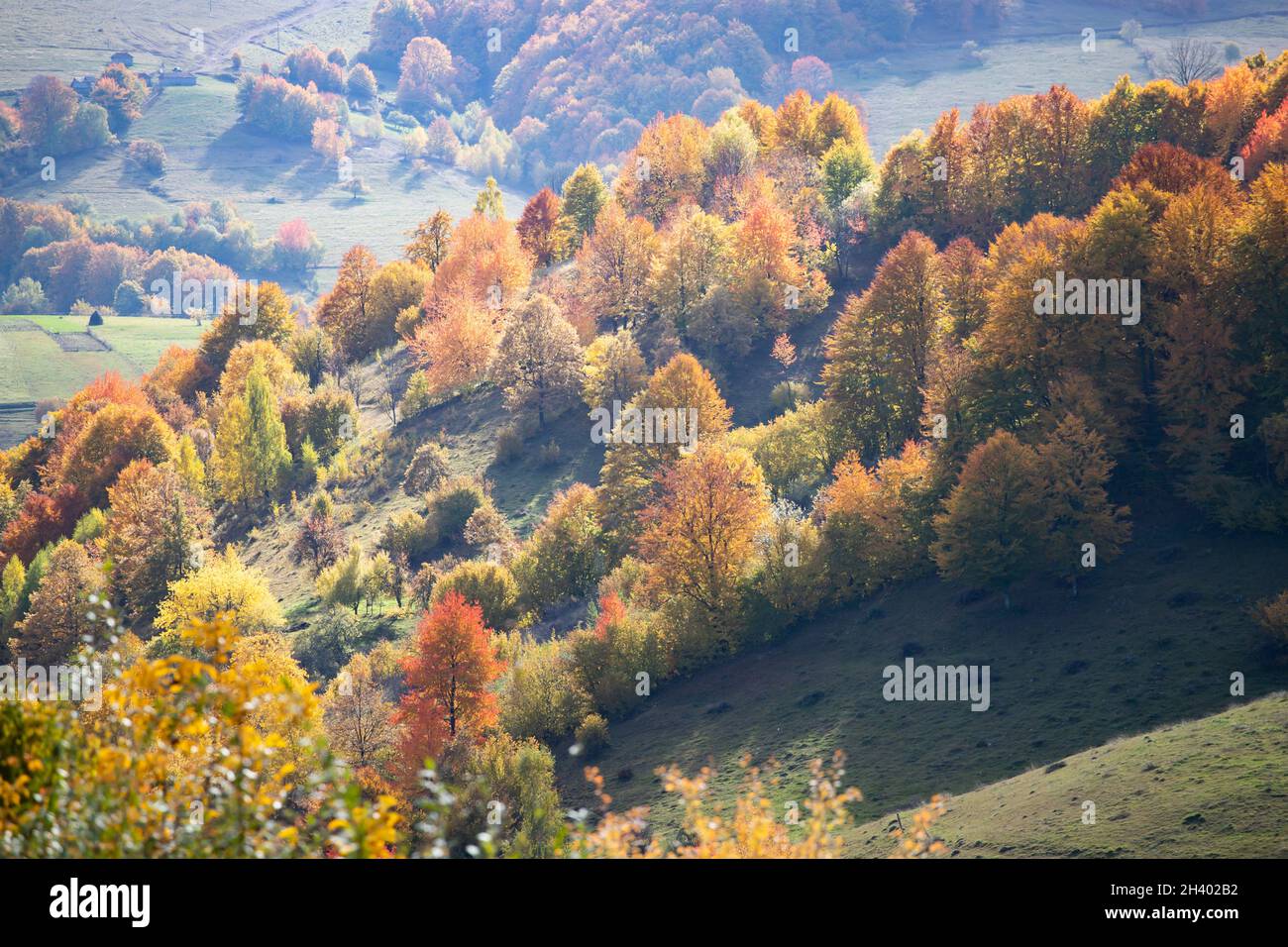 Transylvanian autumn rural landscape Stock Photo - Alamy