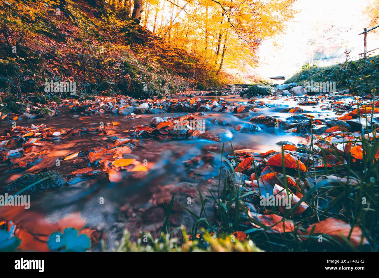 Mountain stream in autumn forest Stock Photo - Alamy