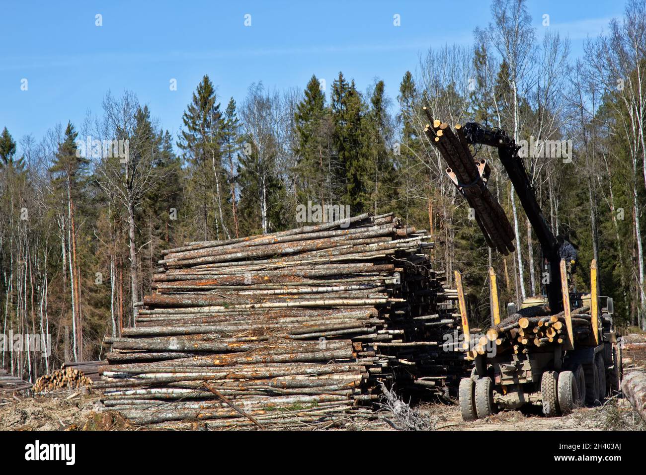 Operations for loading a logging truck Stock Photo - Alamy