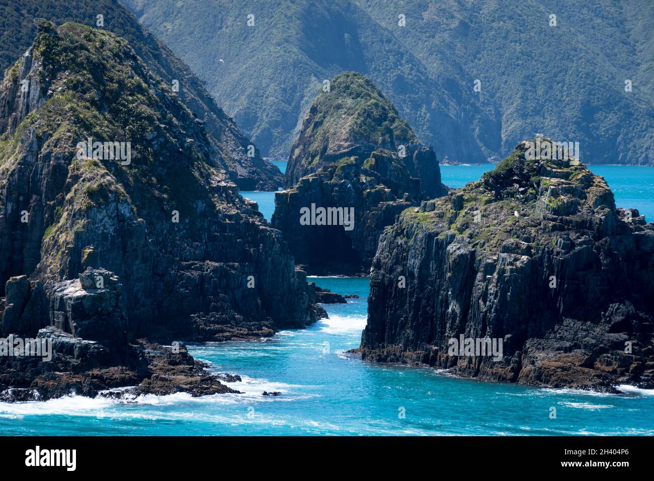 Rock stacks at entrance to Tory Channel, Marlborough Sounds, South ...