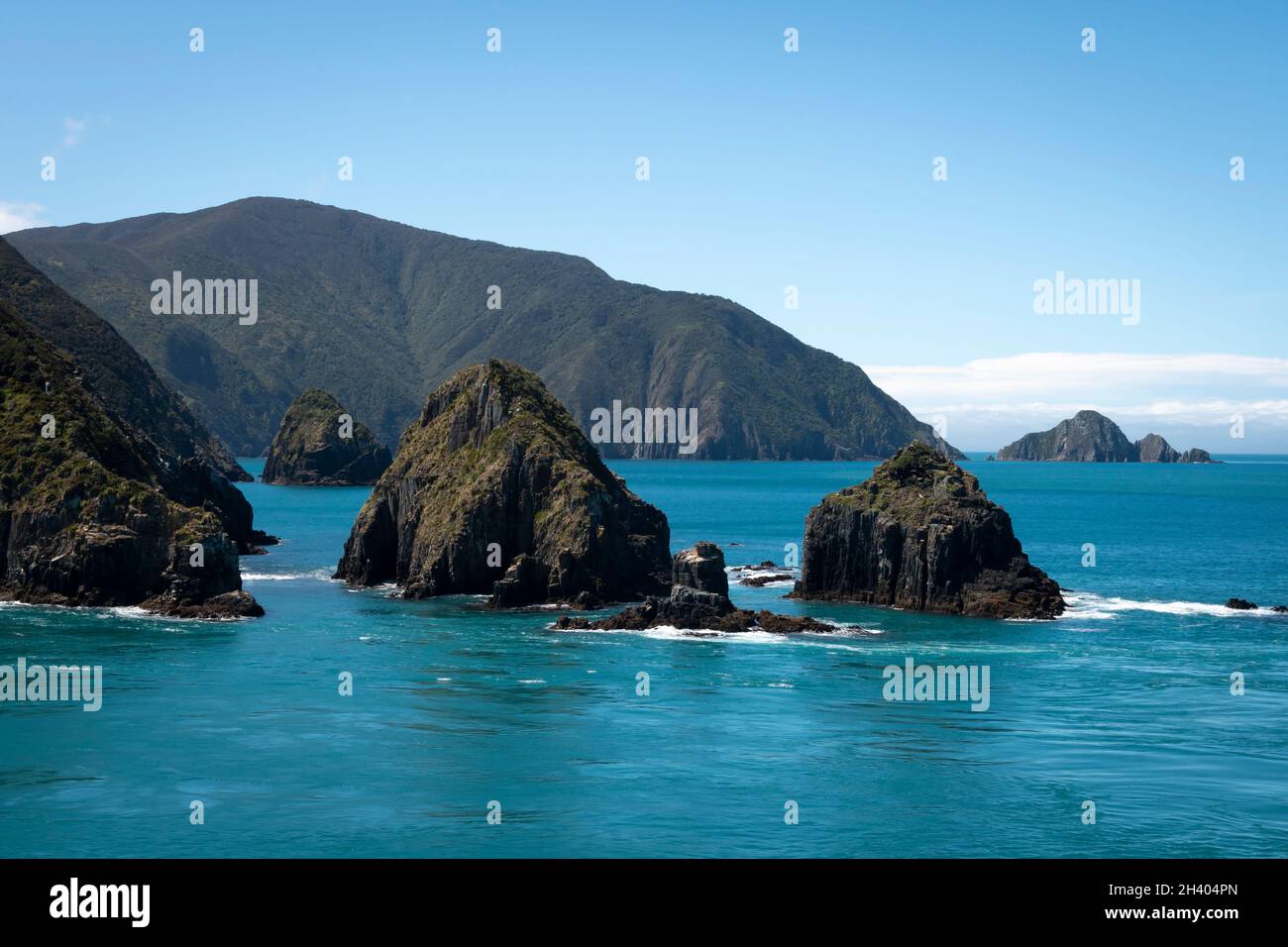 Rock stacks at entrance to Tory Channel, Marlborough Sounds, South ...