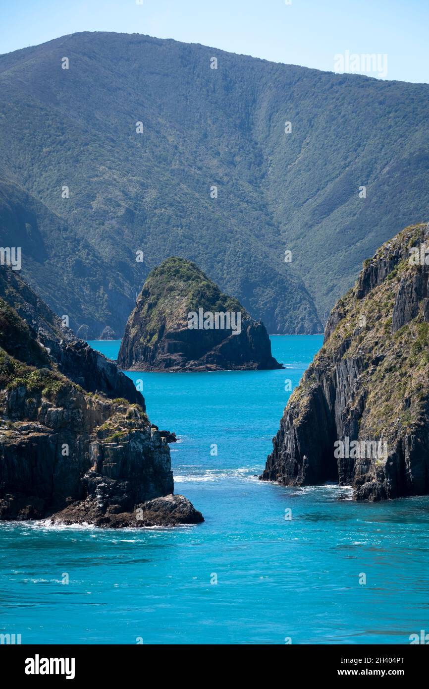 Rock stacks at entrance to Tory Channel, Marlborough Sounds, South ...