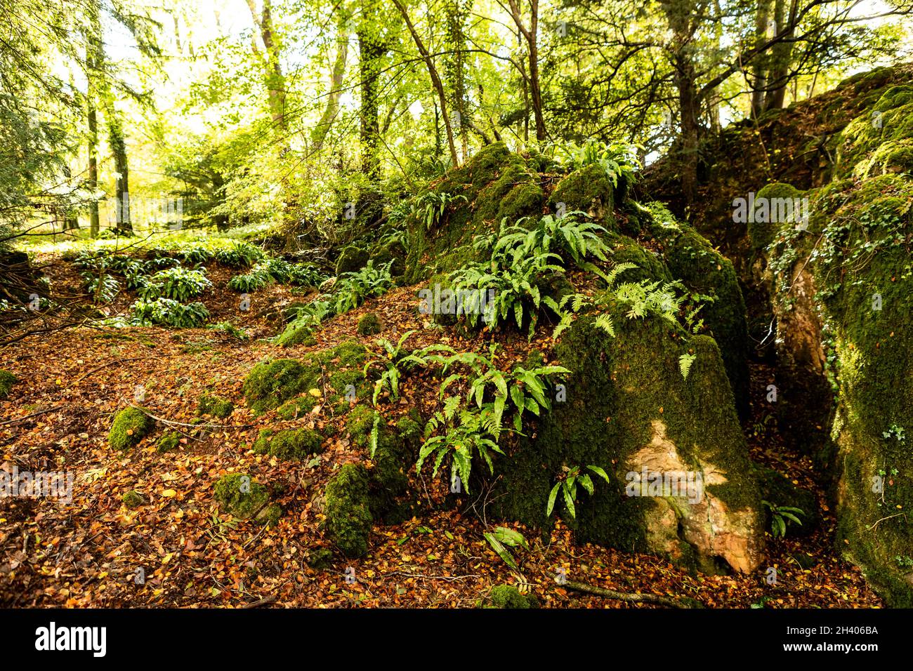 Crease limestone hi-res stock photography and images - Alamy