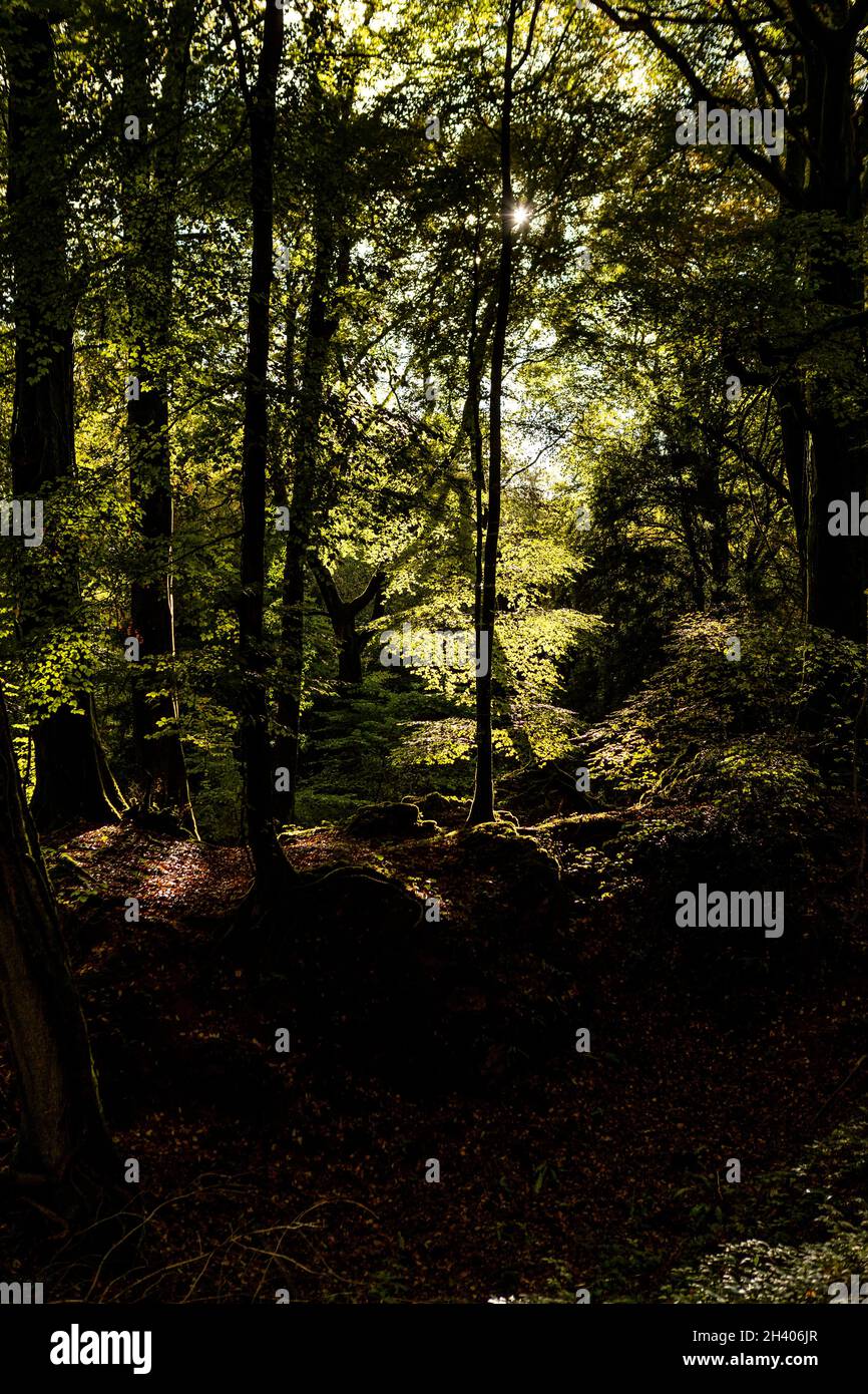 Autumn, Forest of Dean, England. The Scowles, Devils Chapel Stock Photo ...